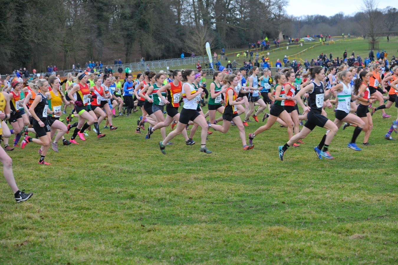 Northern Cross Country Relays | Northern Athletics